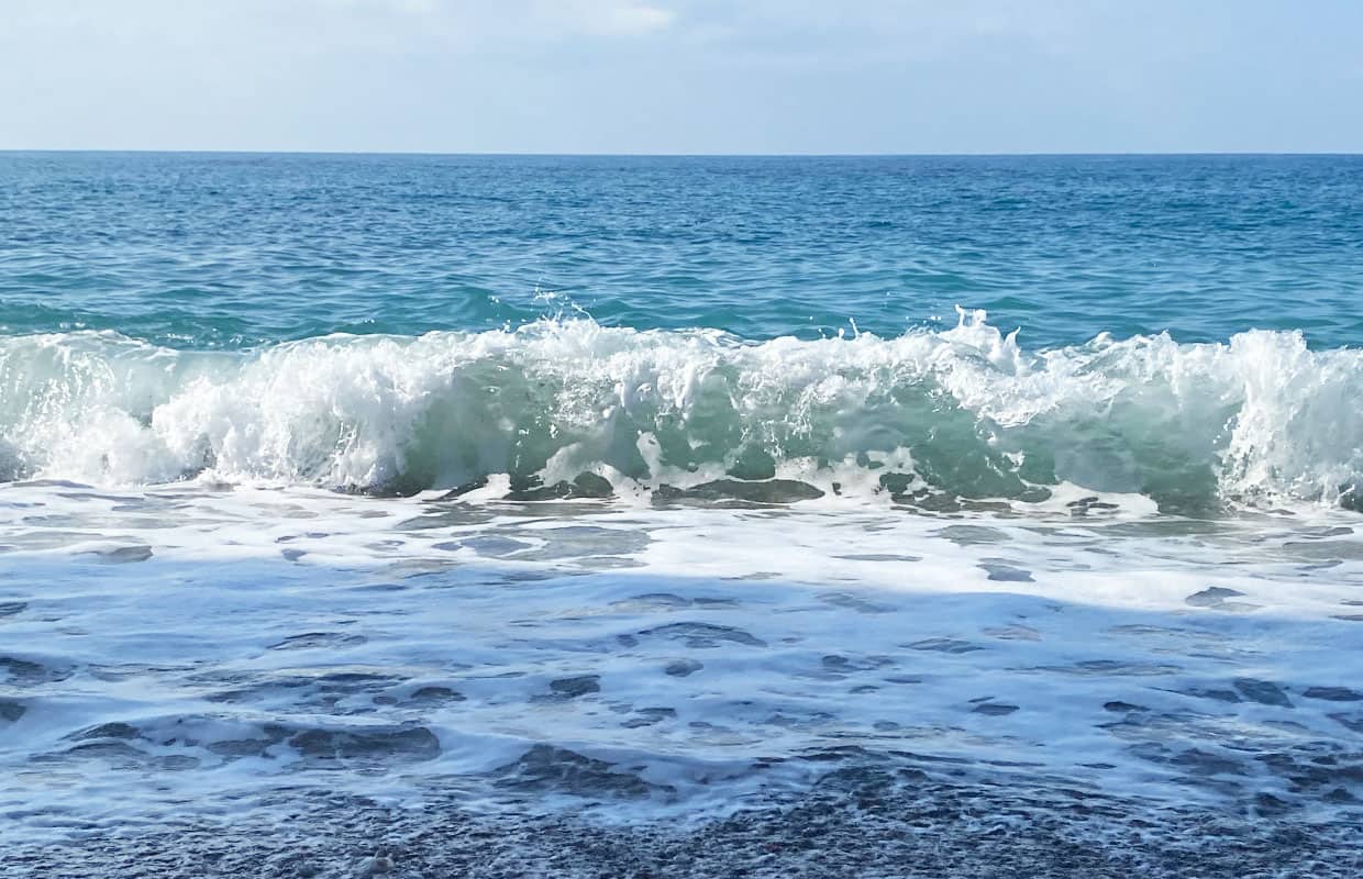 About | Janice Thomas